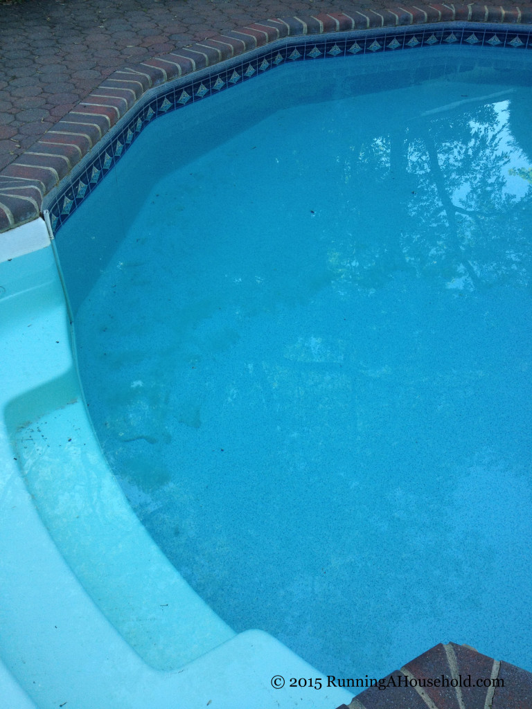 Can’t Keep Chlorine in Your Pool? Tips to Remove Phosphates - Running A ...